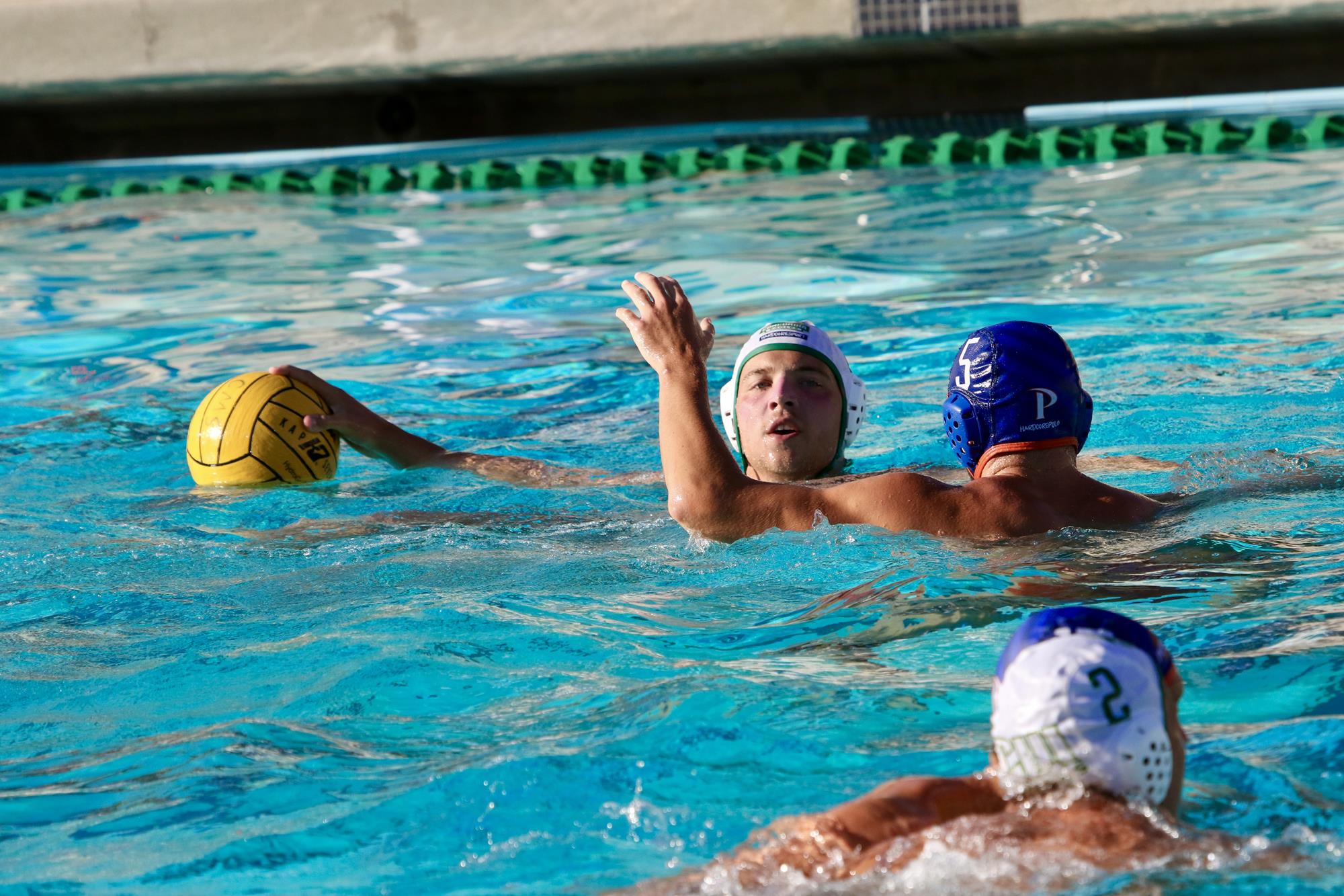 Tanner Powell - Men's Water Polo - Concordia University Irvine Athletics
