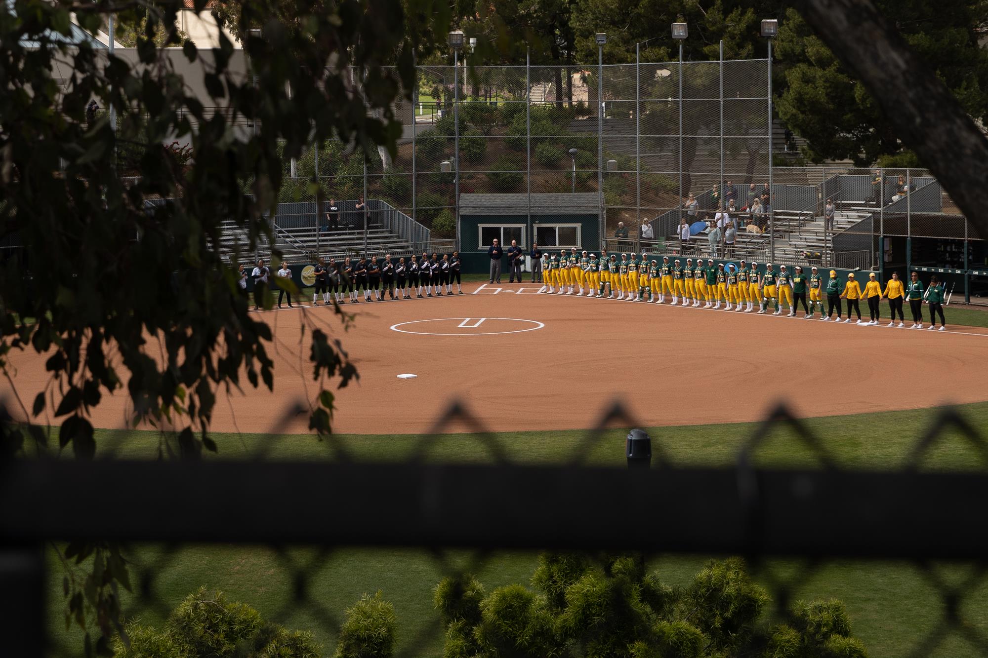 Dani Cole - Softball - Concordia University Irvine Athletics