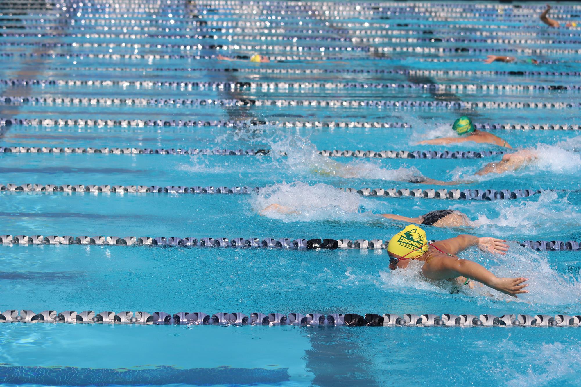 Breckynn Willis - Women's Swim & Dive - Concordia University Irvine ...
