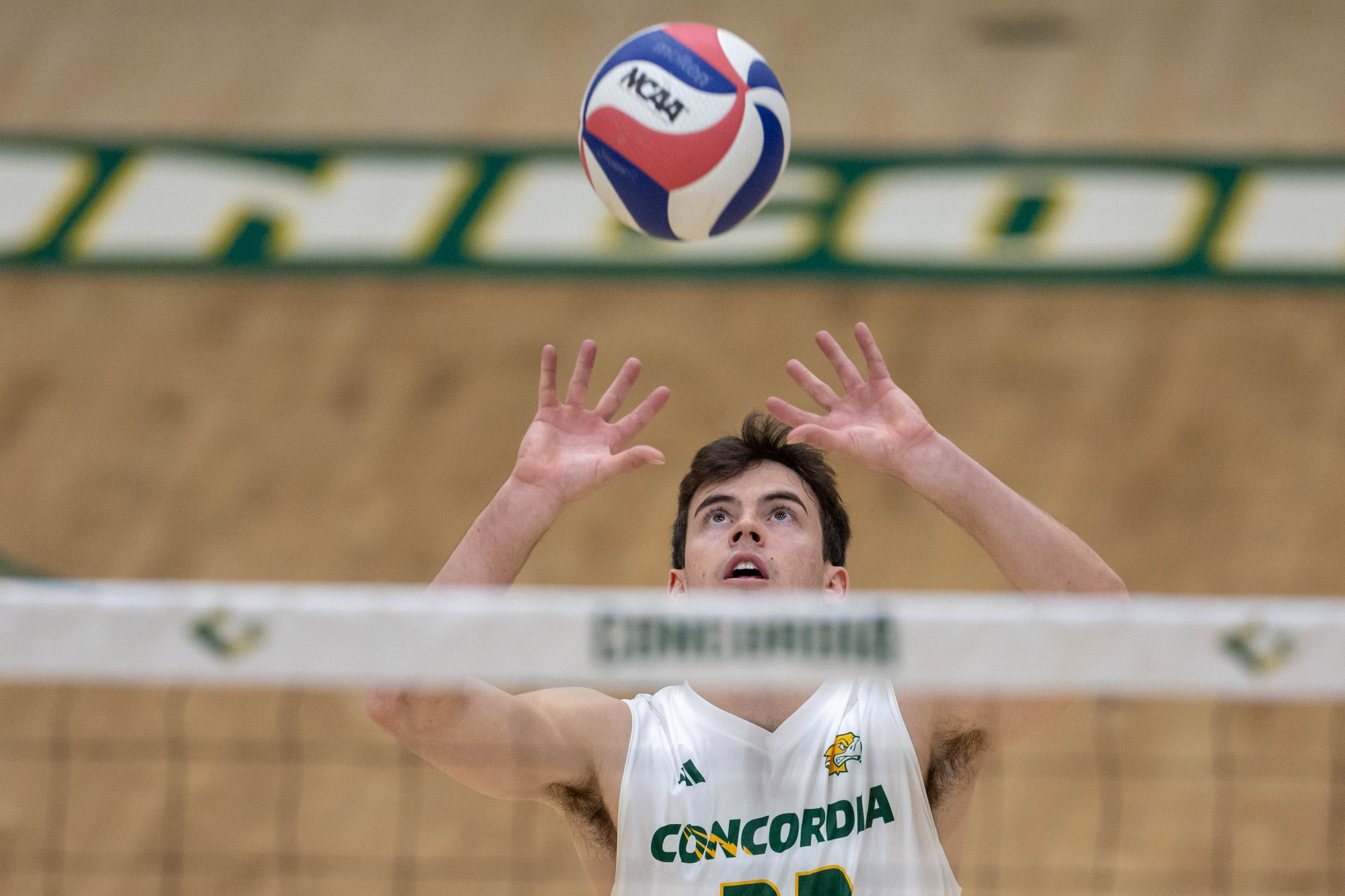 Johnny Anselmo - Men's Volleyball - Concordia University Irvine Athletics