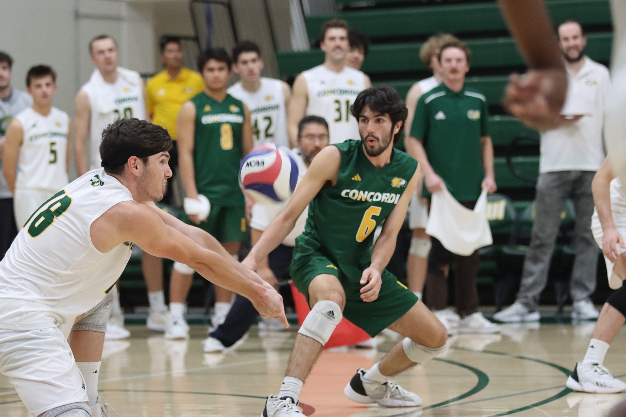 Jacob Reilly - Men's Volleyball - Concordia University Irvine Athletics