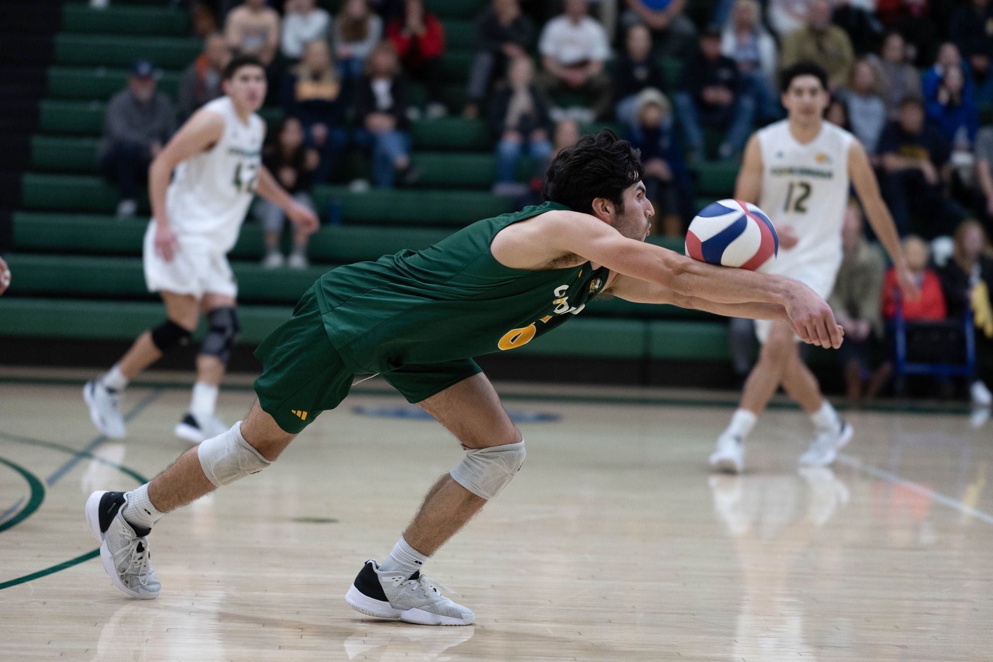 Jacob Reilly - Men's Volleyball - Concordia University Irvine Athletics