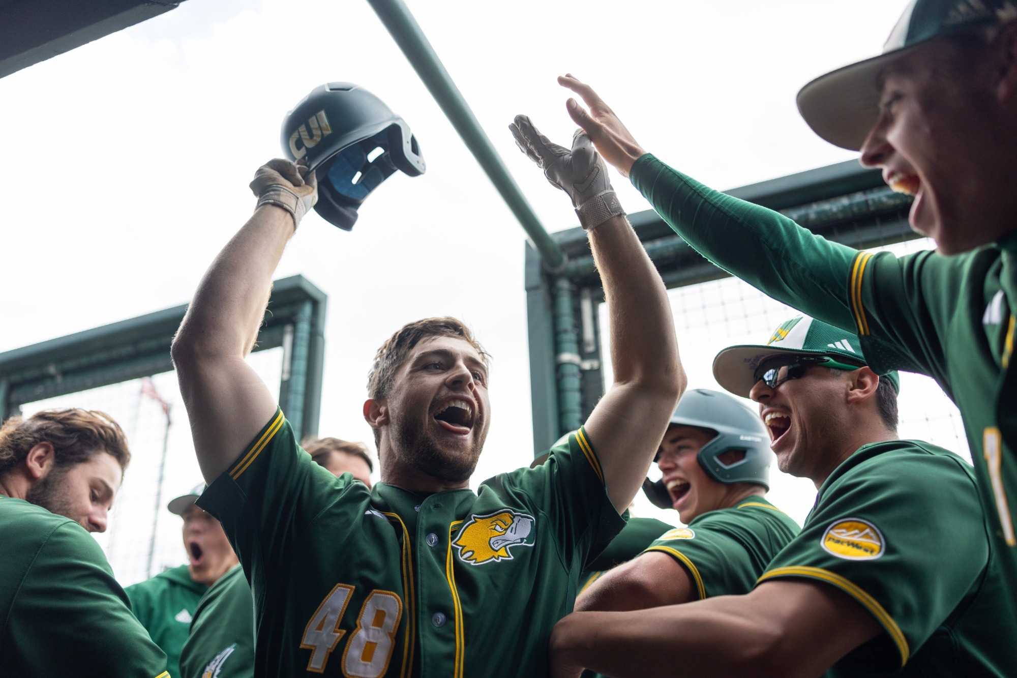Shane Wallace - Baseball - Concordia University Irvine Athletics