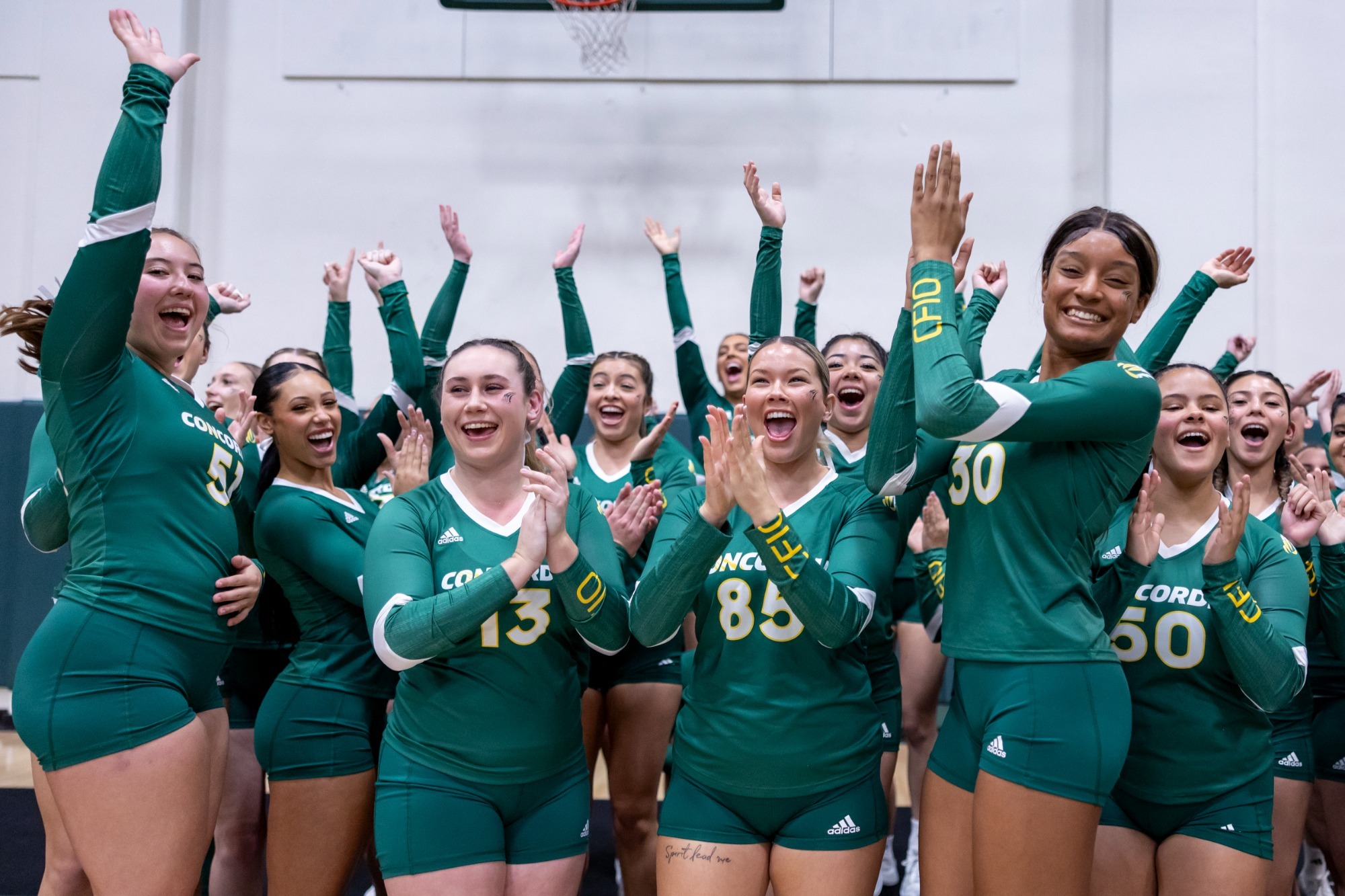 Kirby Holiday - STUNT - Concordia University Irvine Athletics