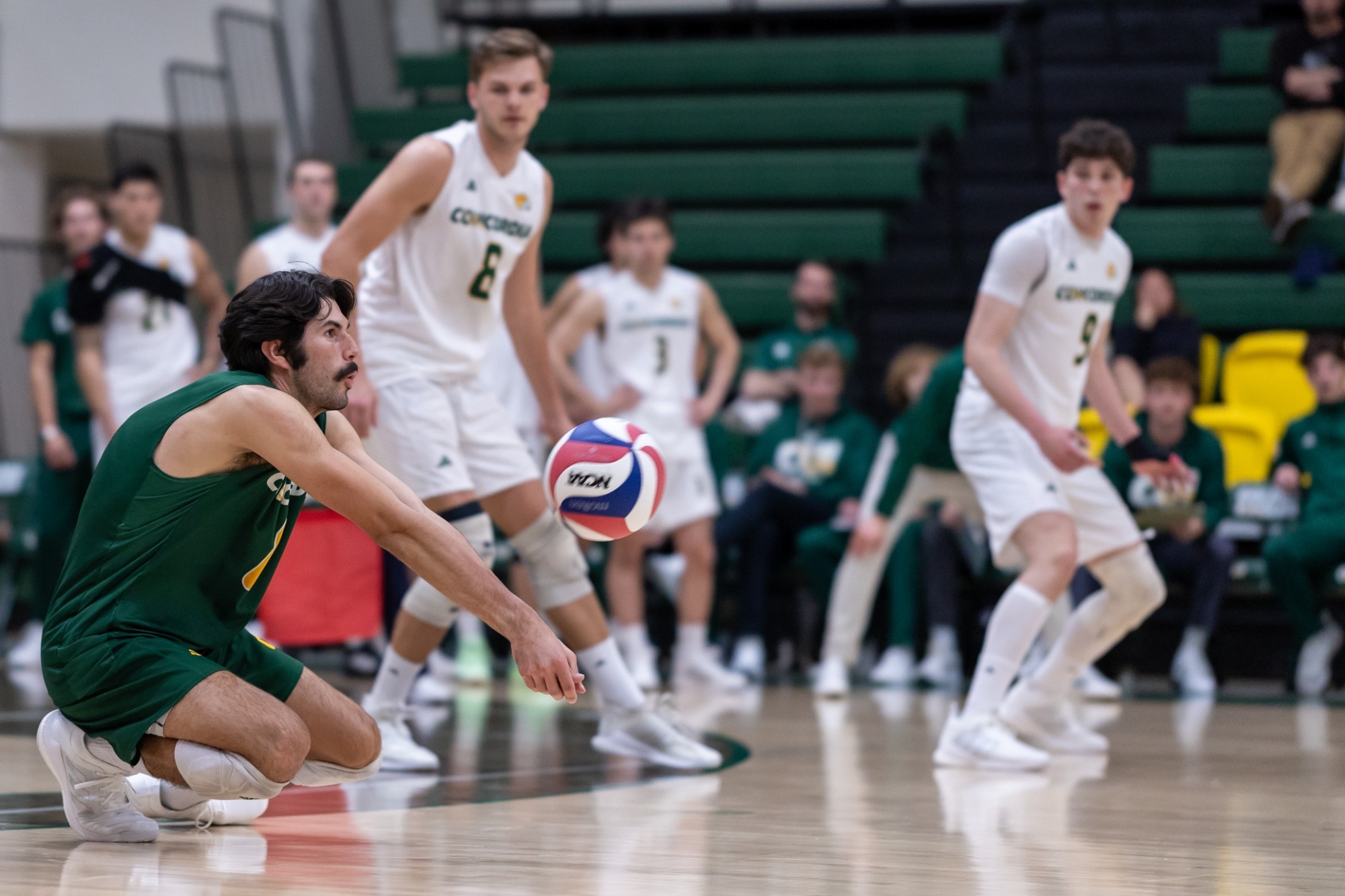 Jacob Reilly - Men's Volleyball - Concordia University Irvine Athletics