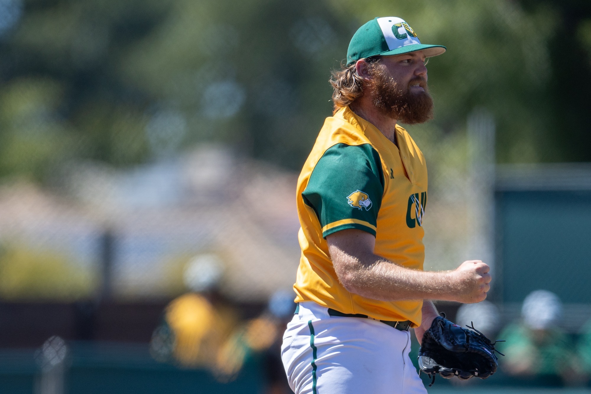 Riley O'Sullivan - Baseball - Concordia University Irvine Athletics