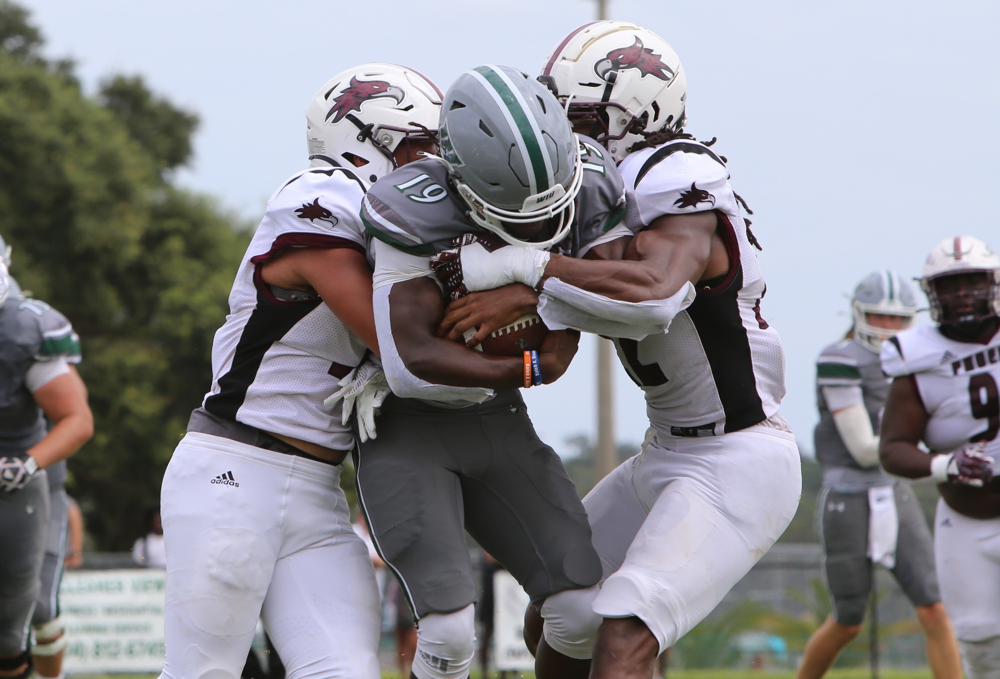 Phoenix Walk-Off Webber in Overtime with 19-13 Victory - Cumberland ...