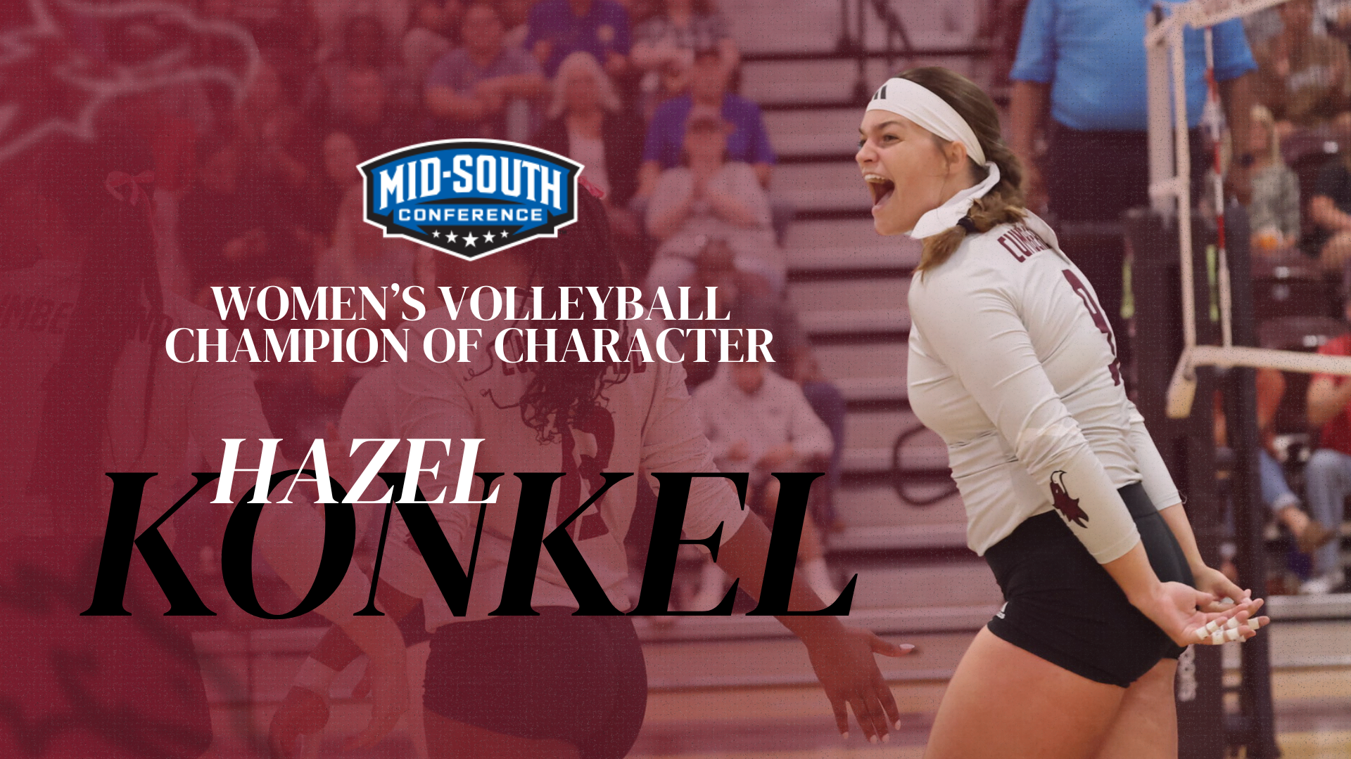 Volleyball Re-Enters Receiving Votes in Final Regular Season Poll ...