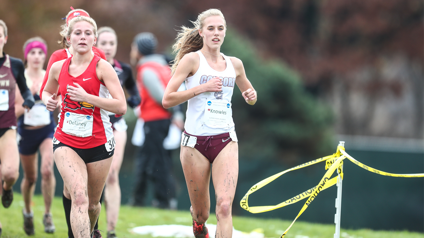 Bailey Knowles - WXC - Concord University Athletics