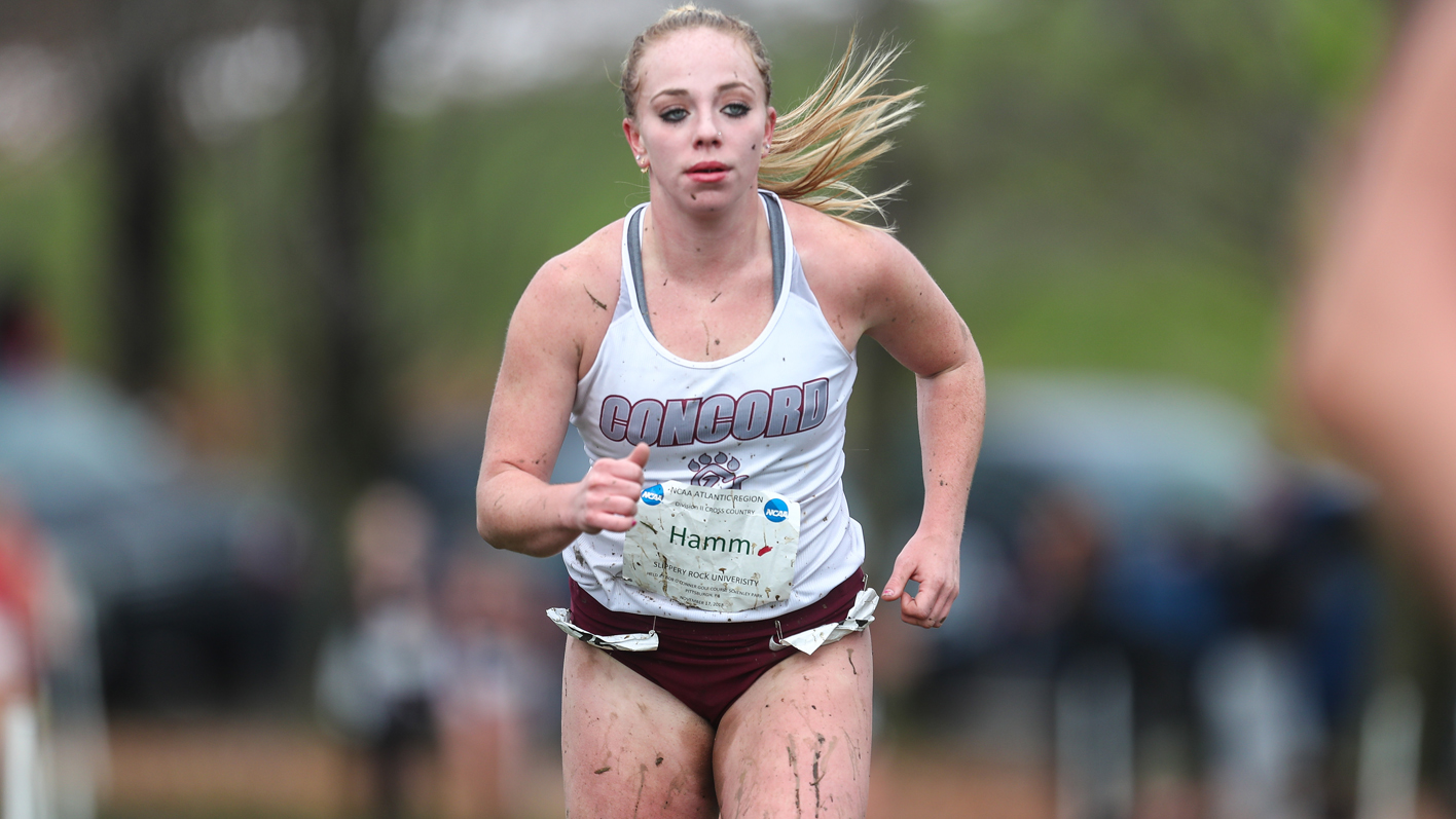 Taylor Hamm - WXC - Concord University Athletics