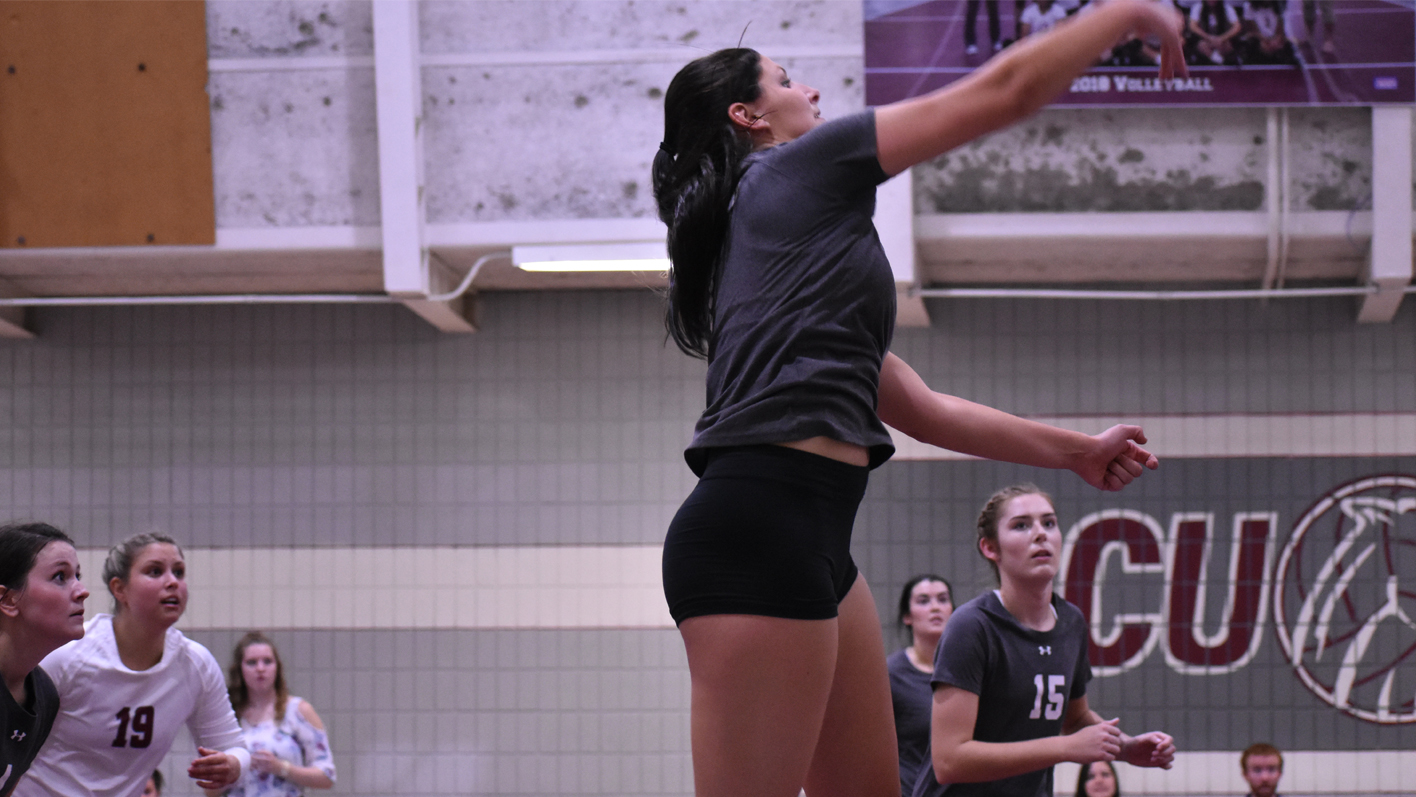 Brooke Heck - Volleyball - Concord University Athletics