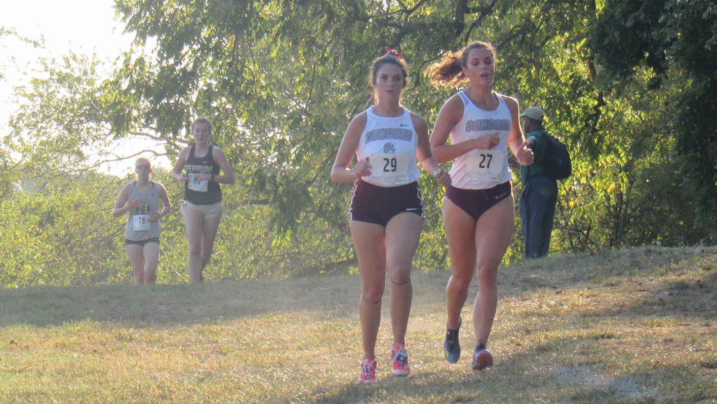 Kyla Marshall - WXC - Concord University Athletics