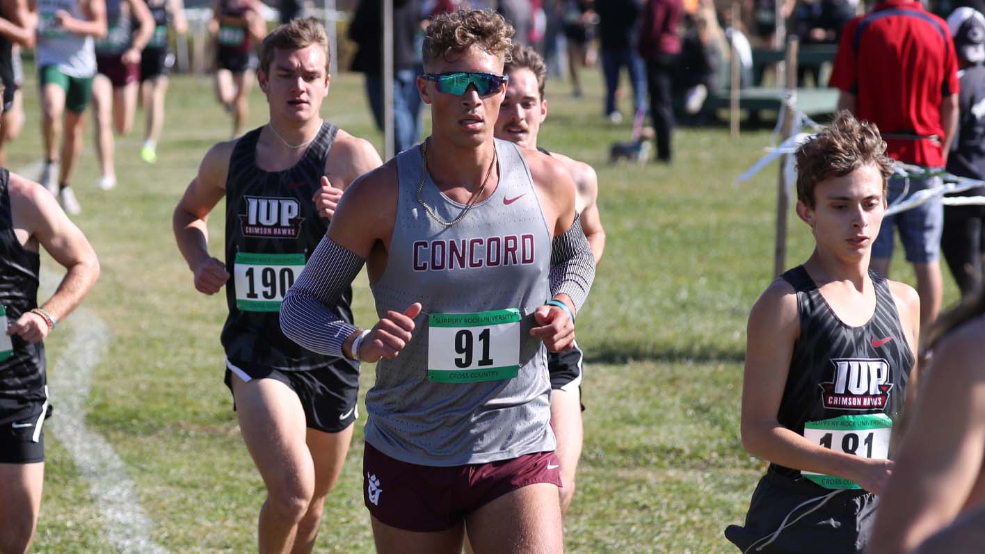 Alex Watty - MXC - Concord University Athletics