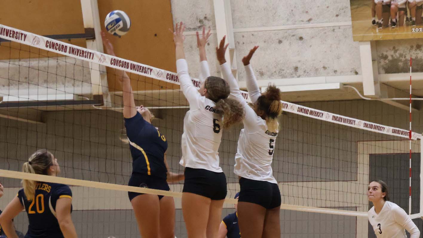 Hannah Steele - Volleyball - Concord University Athletics