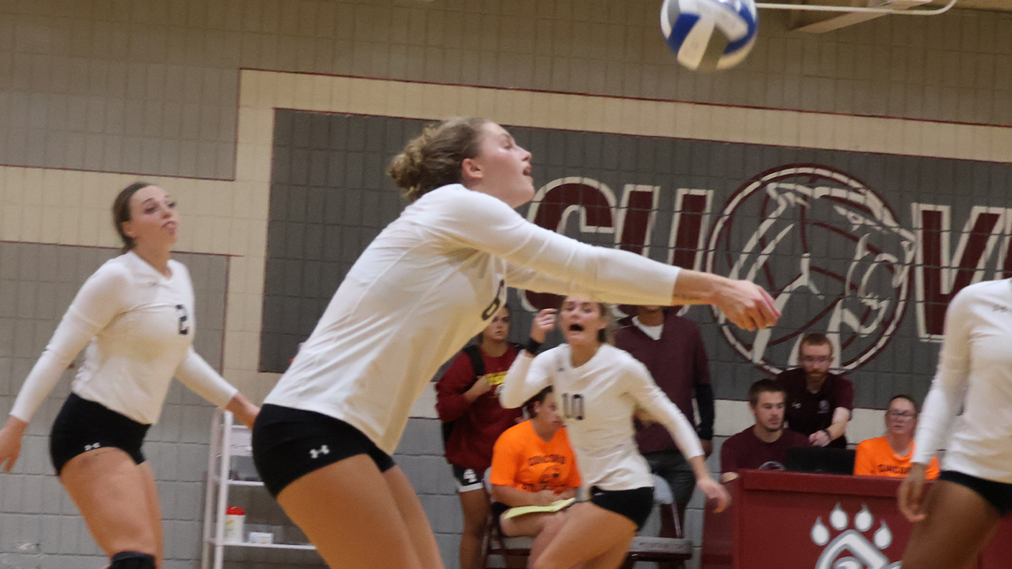Hannah Steele - Volleyball - Concord University Athletics