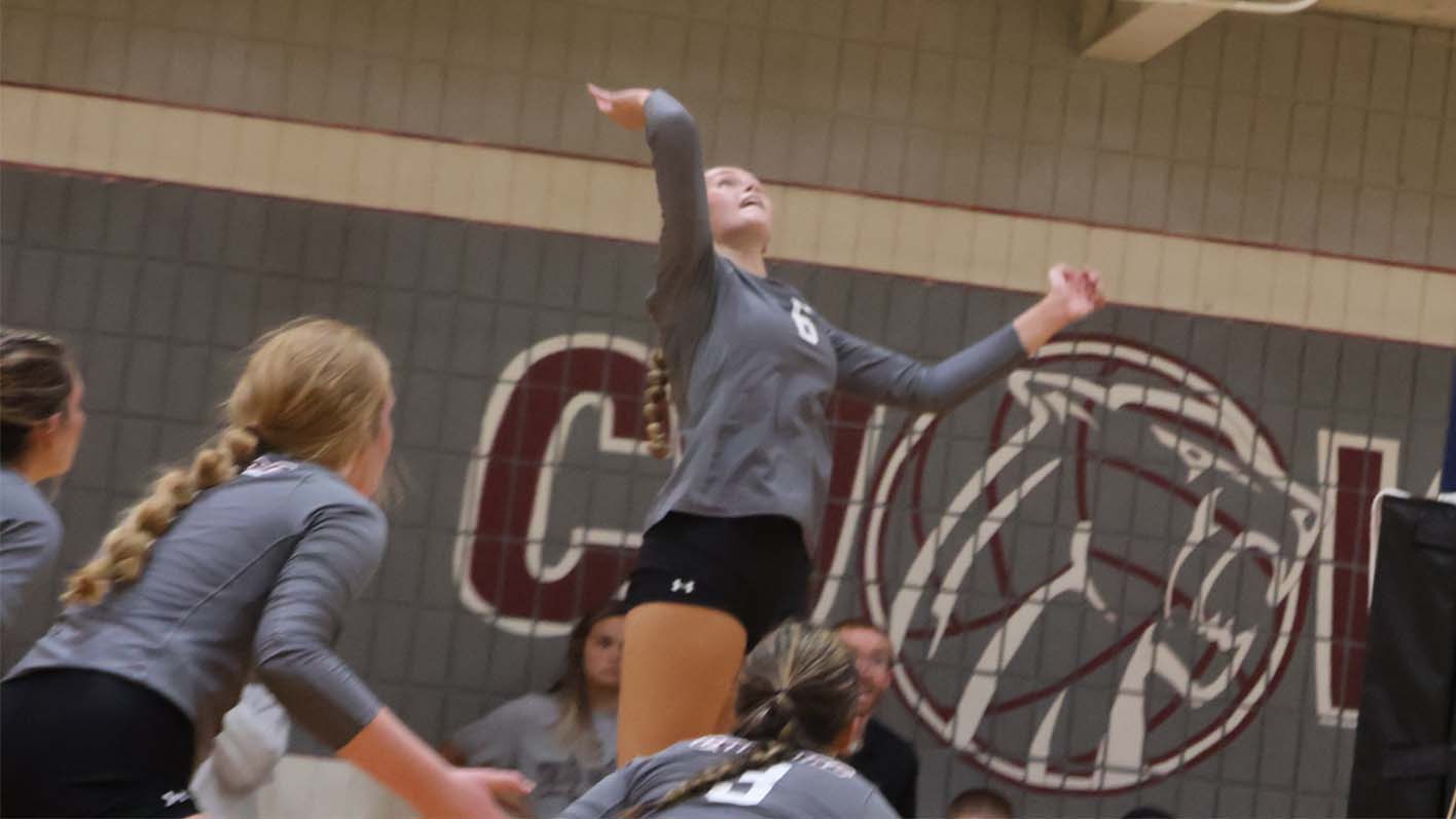 Hannah Steele - Volleyball - Concord University Athletics