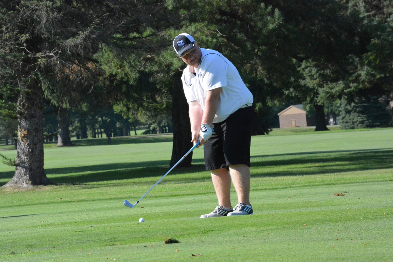Mark Lesinski - Men's Golf - Daemen University Athletics