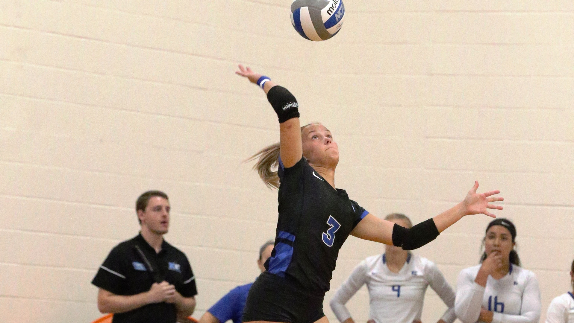 Ali Greenwood - Women's Volleyball - Daemen University Athletics
