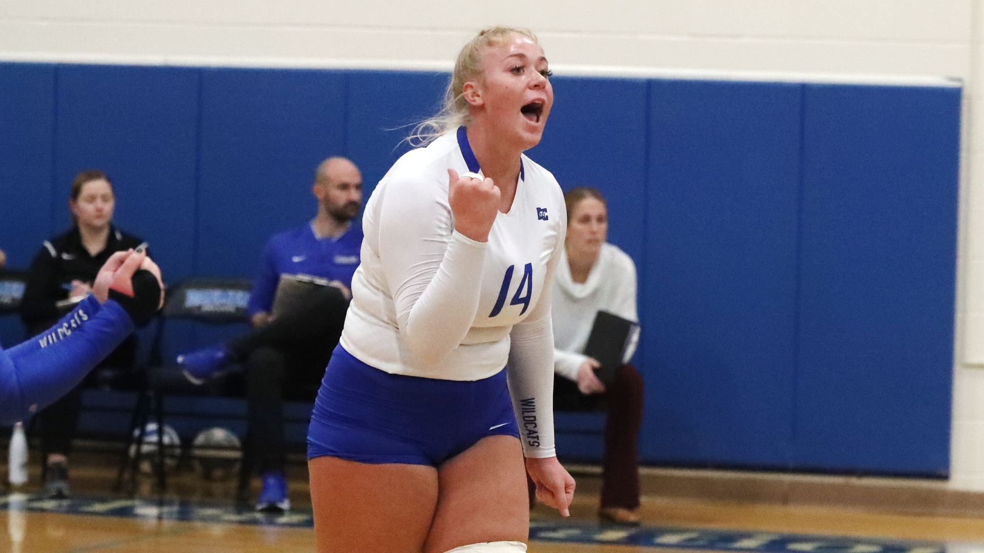 Allison Post - Women's Volleyball - Daemen University Athletics