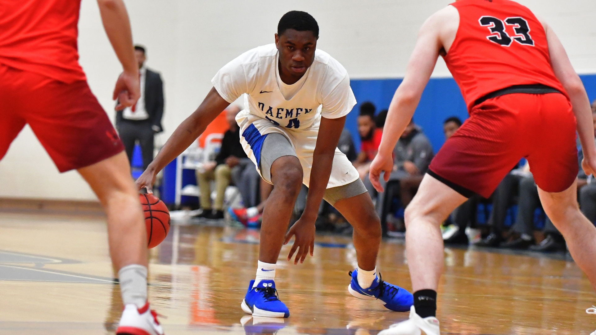 Ziv Basden - Men's Basketball - Daemen University Athletics