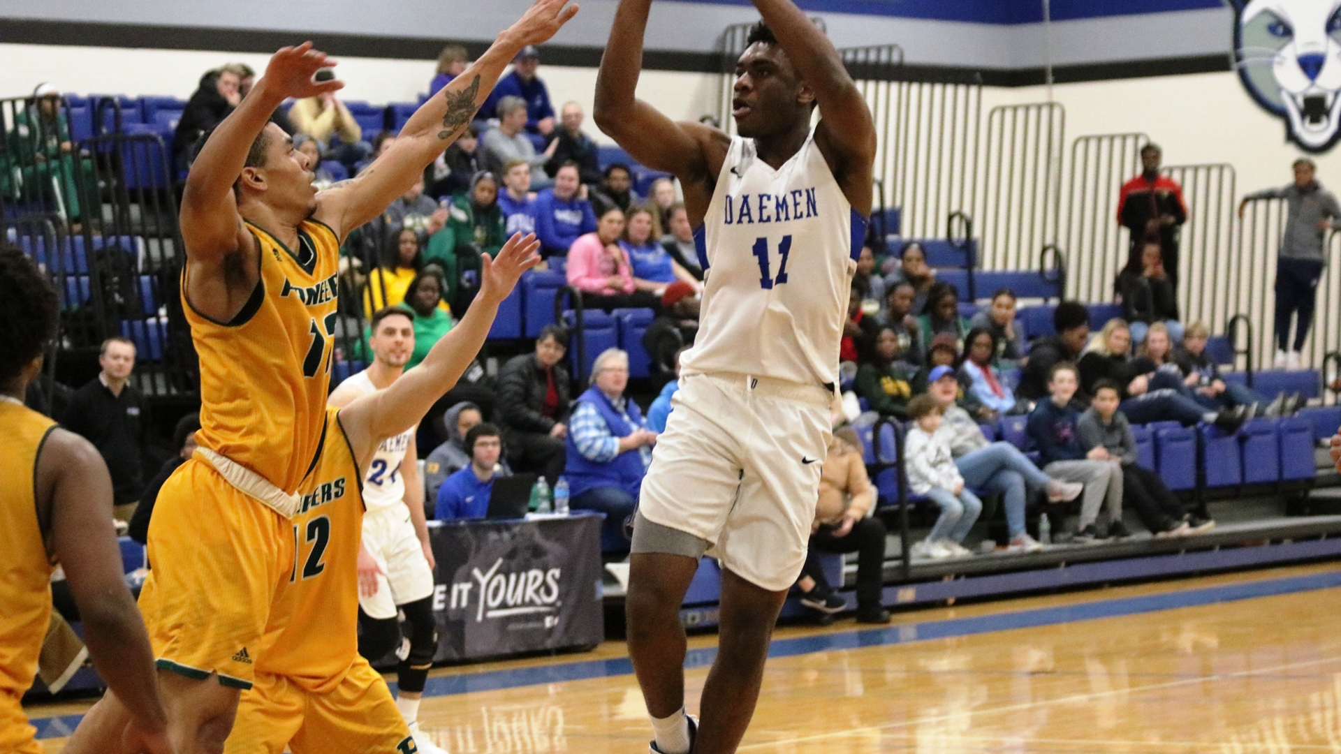 Ziv Basden - Men's Basketball - Daemen University Athletics
