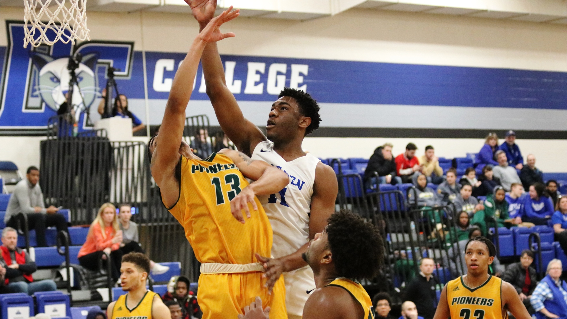 Ziv Basden - Men's Basketball - Daemen University Athletics