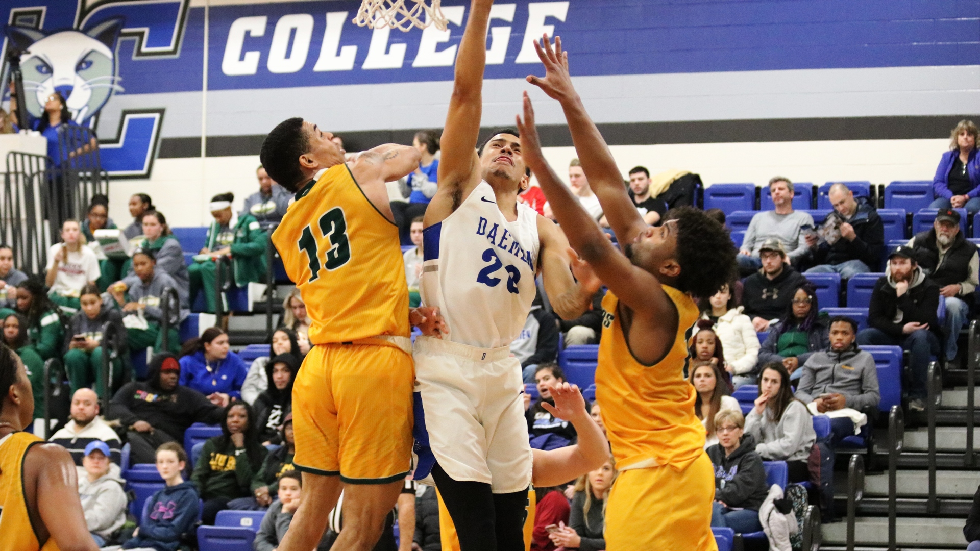 Quinn Lee Yaw - Men's Basketball - Daemen University Athletics