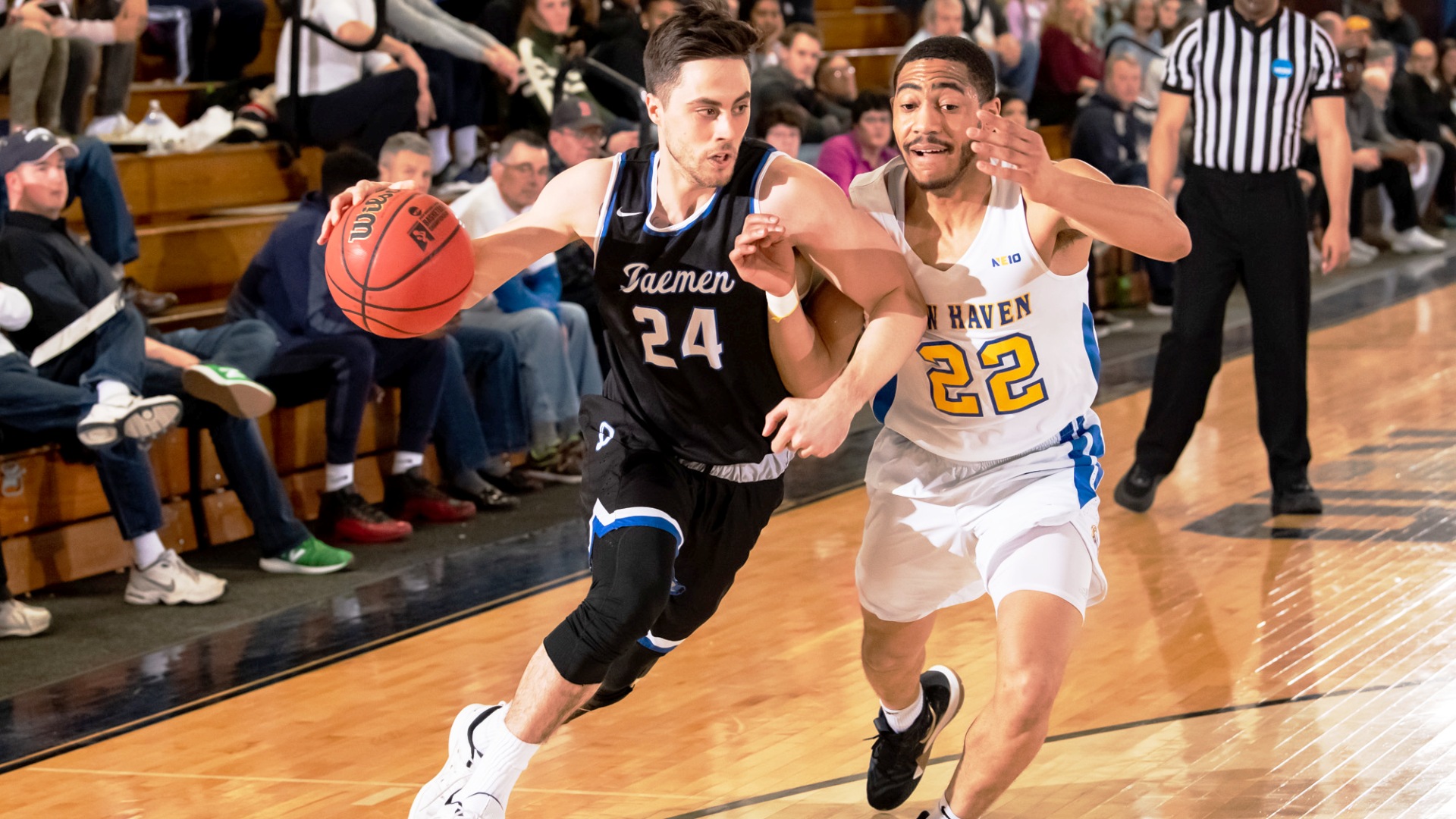 Nick Petrucelli - Men's Basketball - Daemen University Athletics