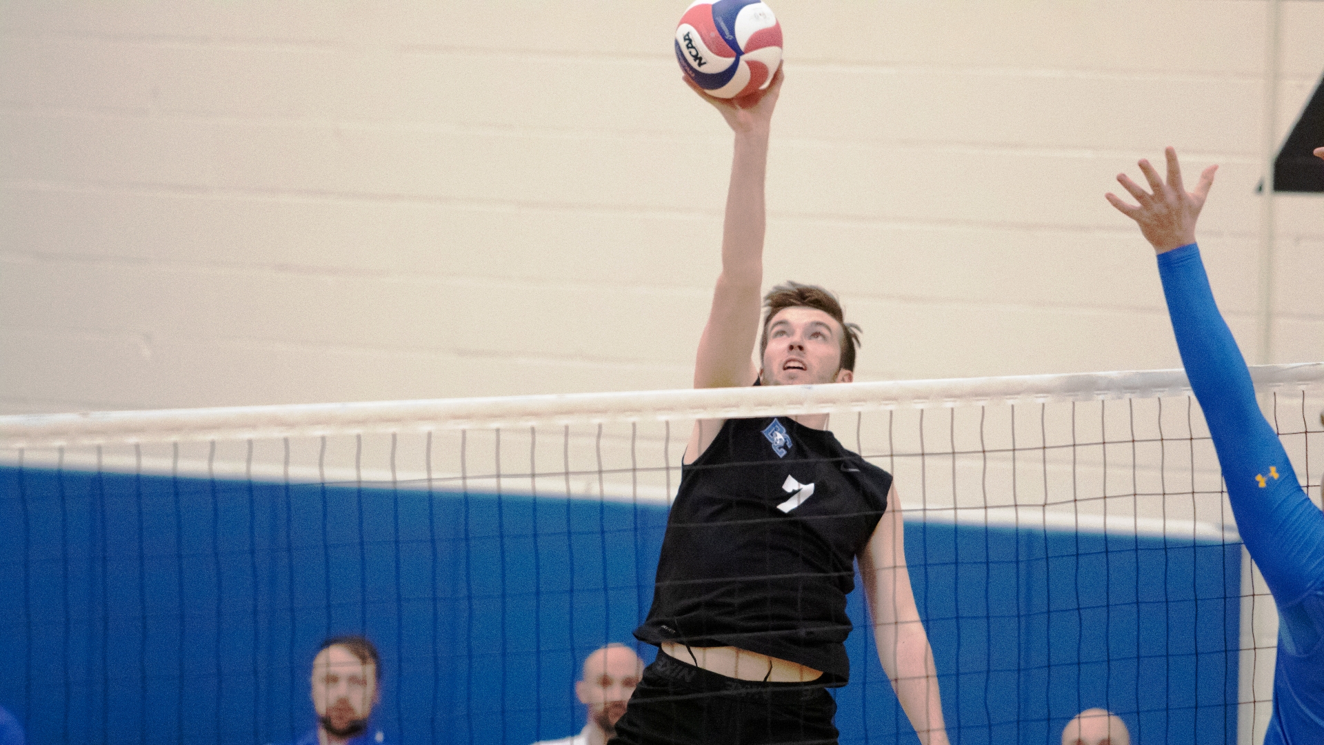 Wildcats Ride Some Waves But Fall To #8 Pepperdine - Daemen University ...