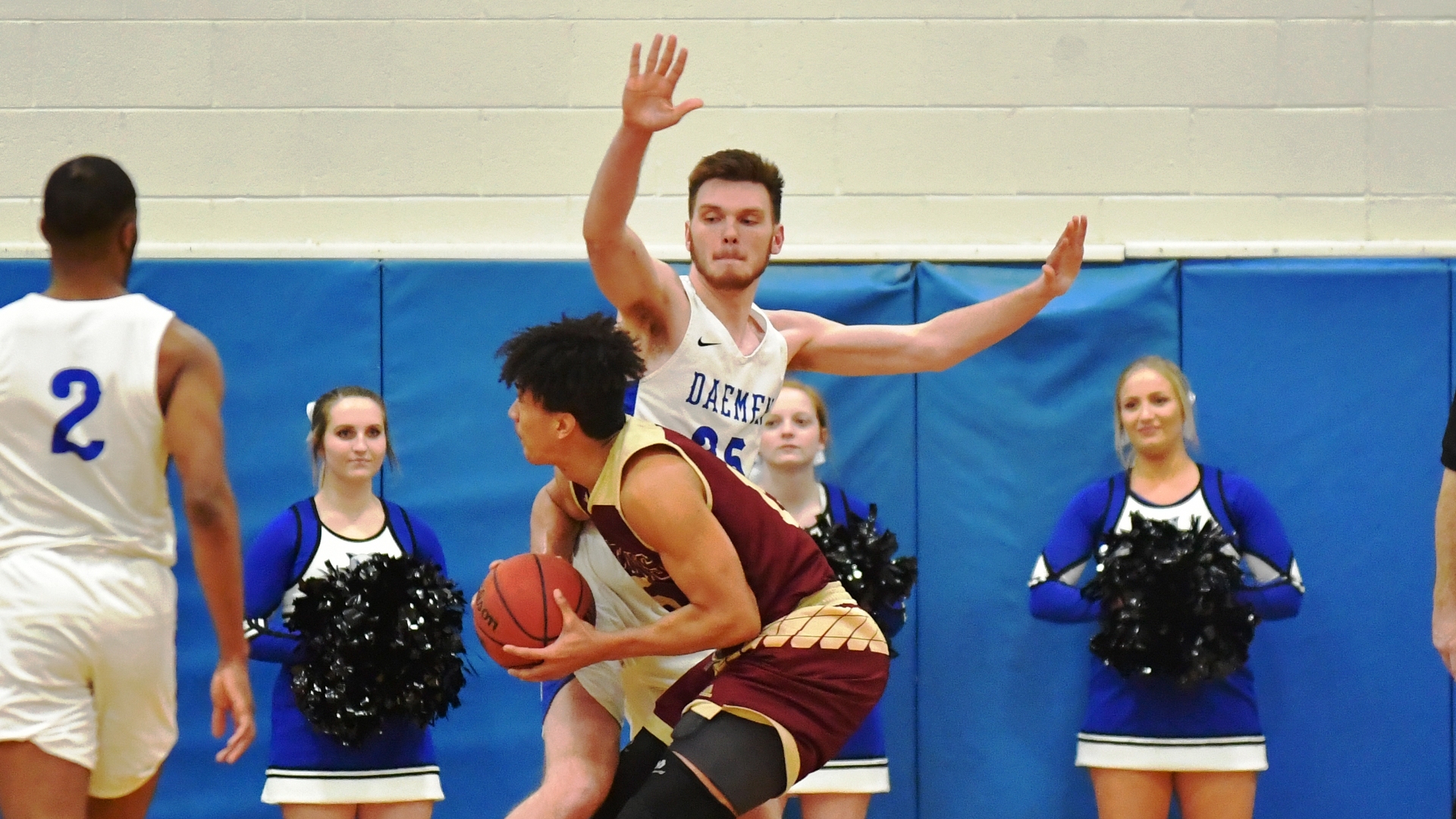 Ryan Bradley - Men's Basketball - Daemen University Athletics