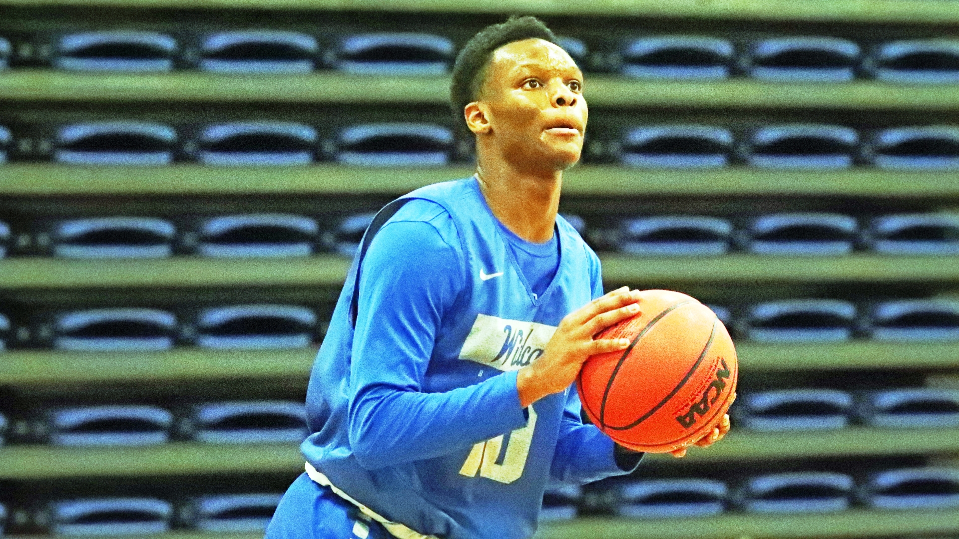 Tony Arnold - Men's Basketball - Daemen University Athletics