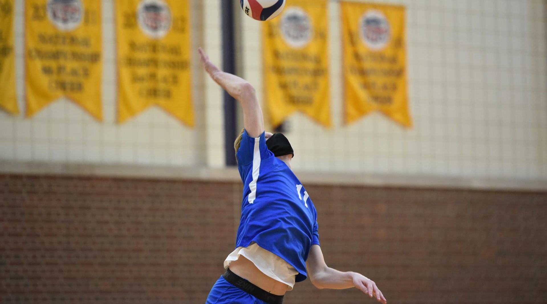 Robert Patzer - Men's Volleyball - Daemen University Athletics