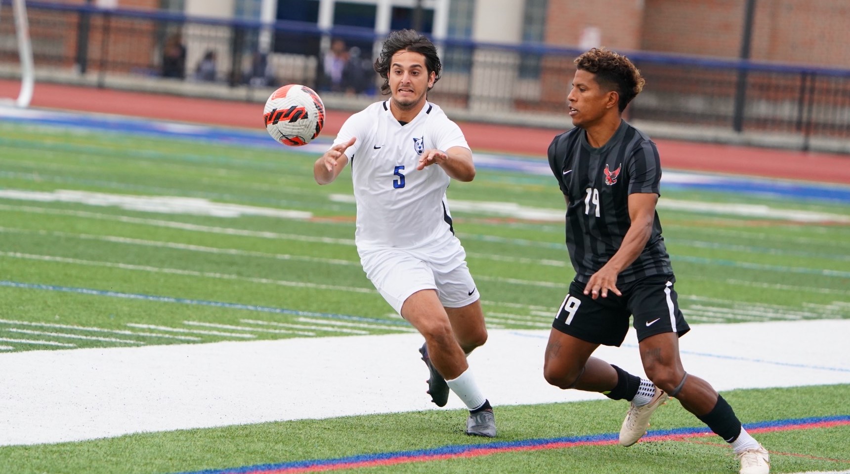 Wildcats Fall To Regionally-Ranked Golden Knights - Daemen University ...