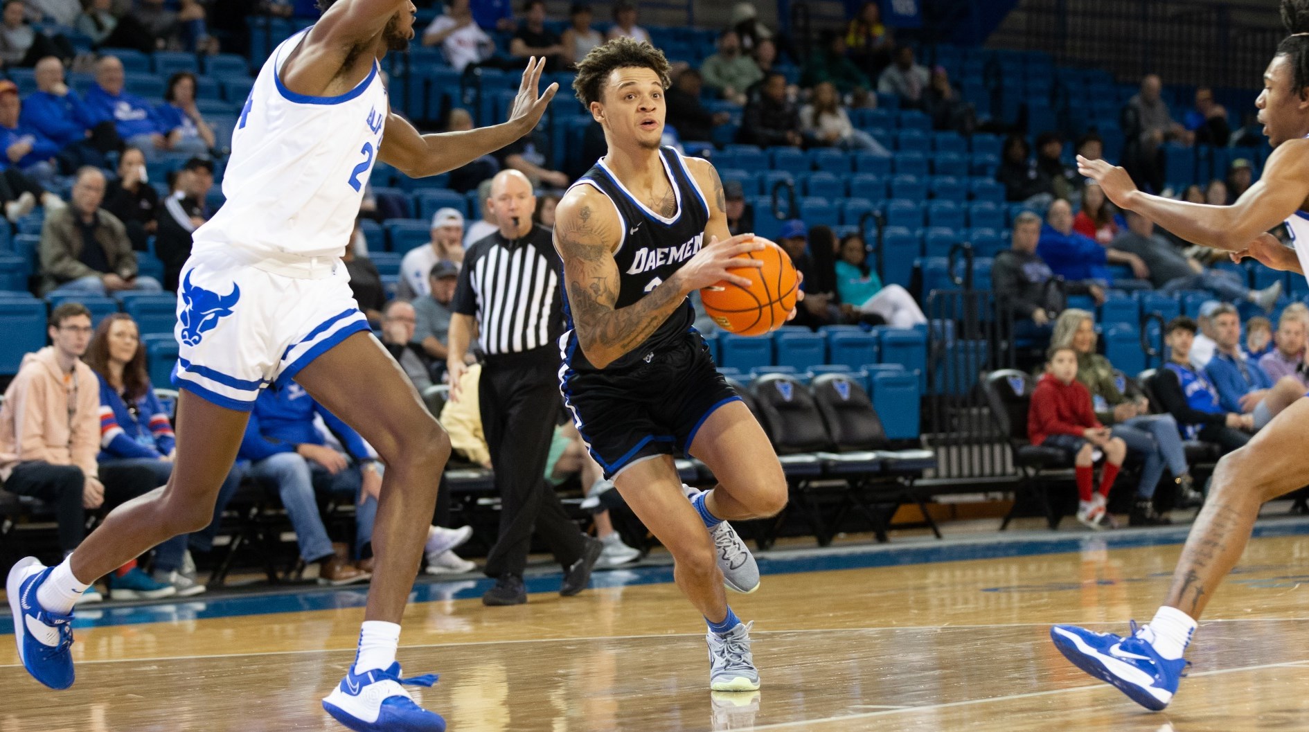 Wildcats Down Hawks In Battle Of Regionally-Ranked Teams - Daemen ...