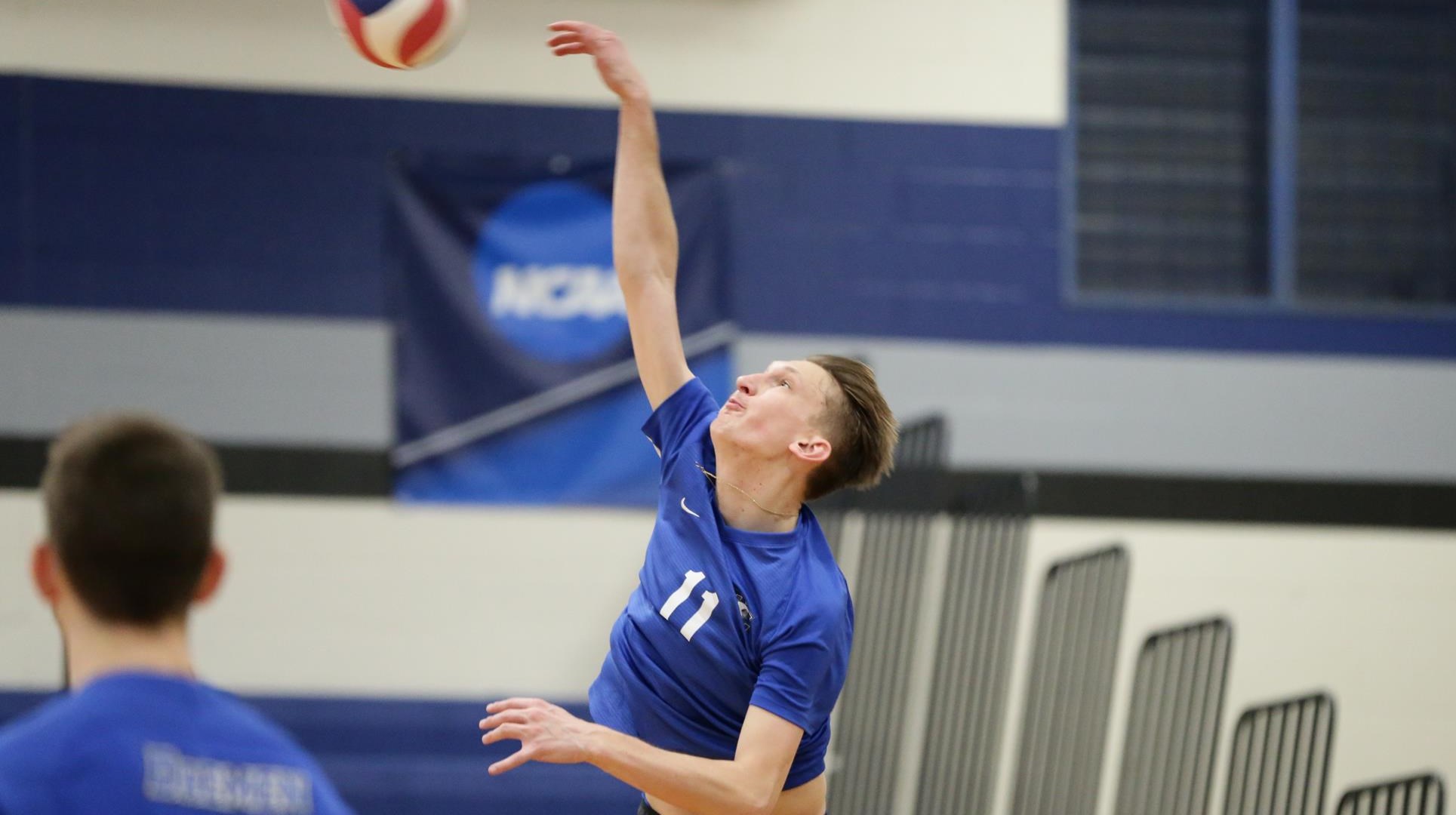 Robert Patzer - Men's Volleyball - Daemen University Athletics