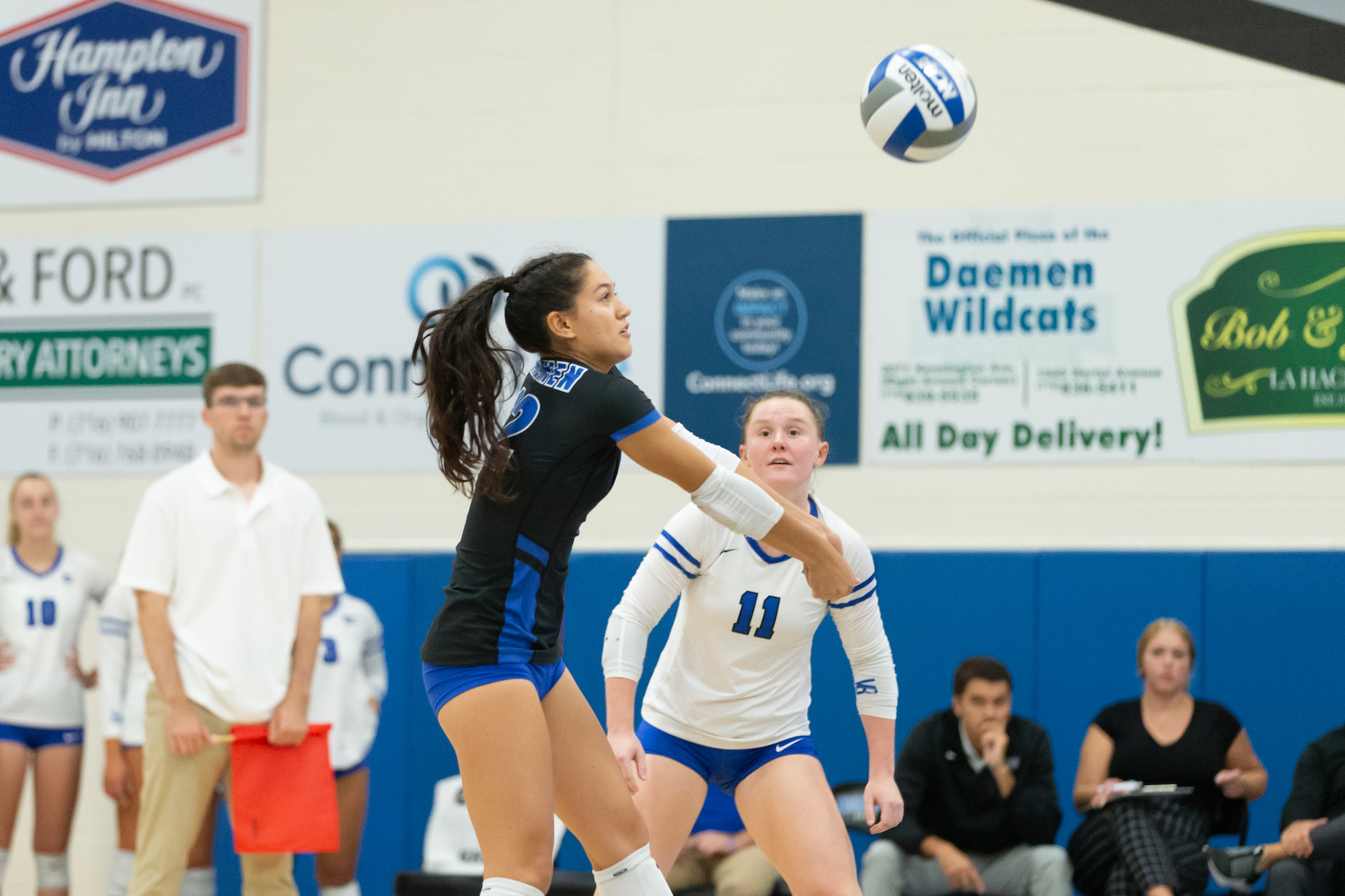 Women's Volleyball Splits Friday at East Region Clash - Daemen ...