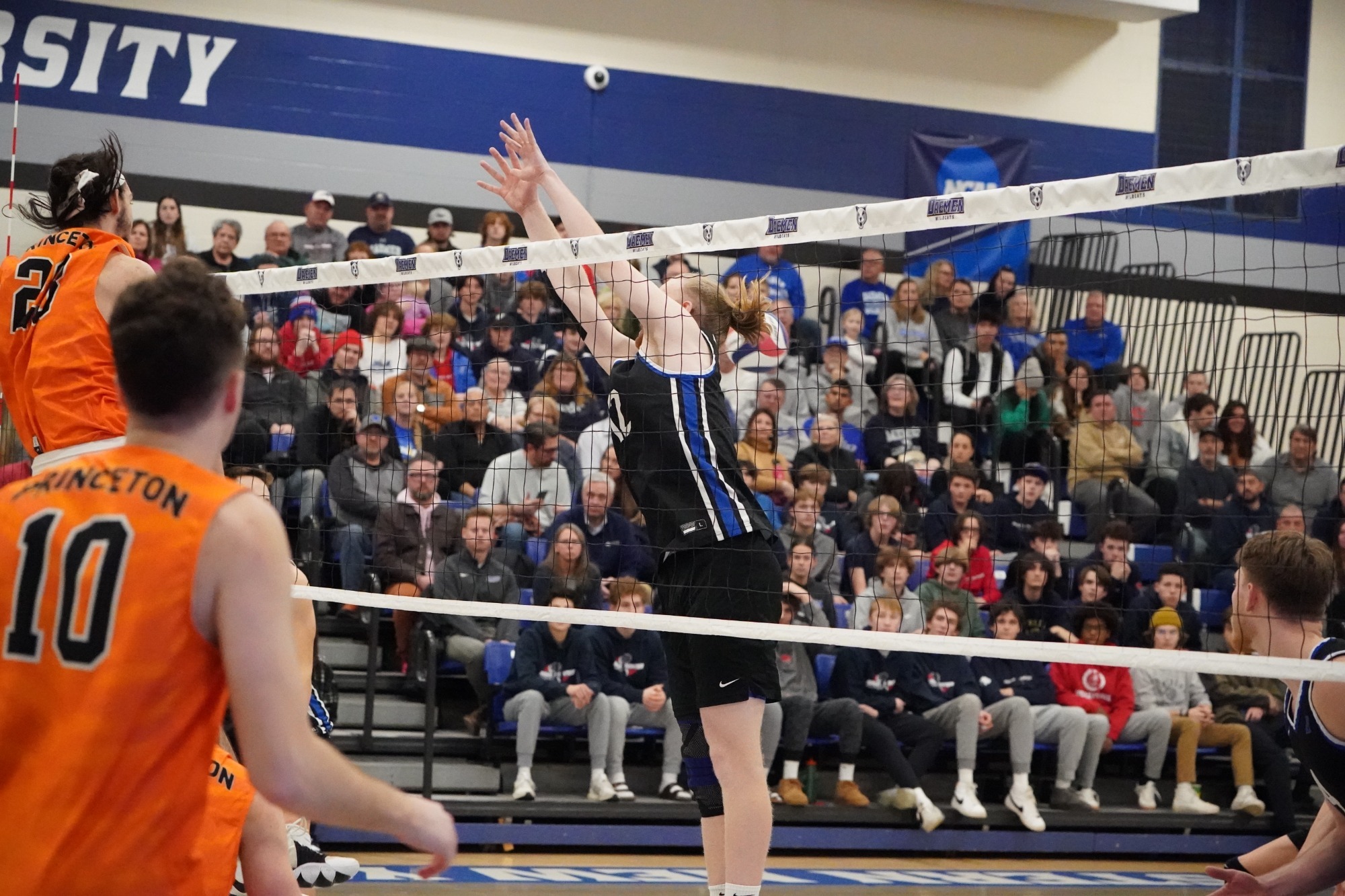 Henry Moffitt - Men's Volleyball - Daemen University Athletics