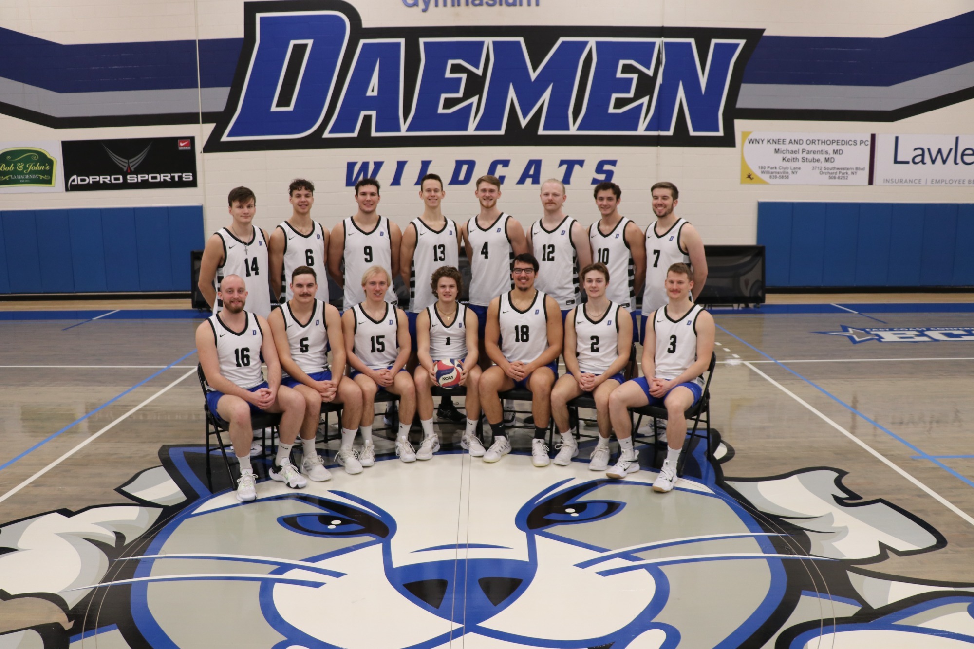 Men's Volleyball: 2023 Season Preview - Daemen University Athletics
