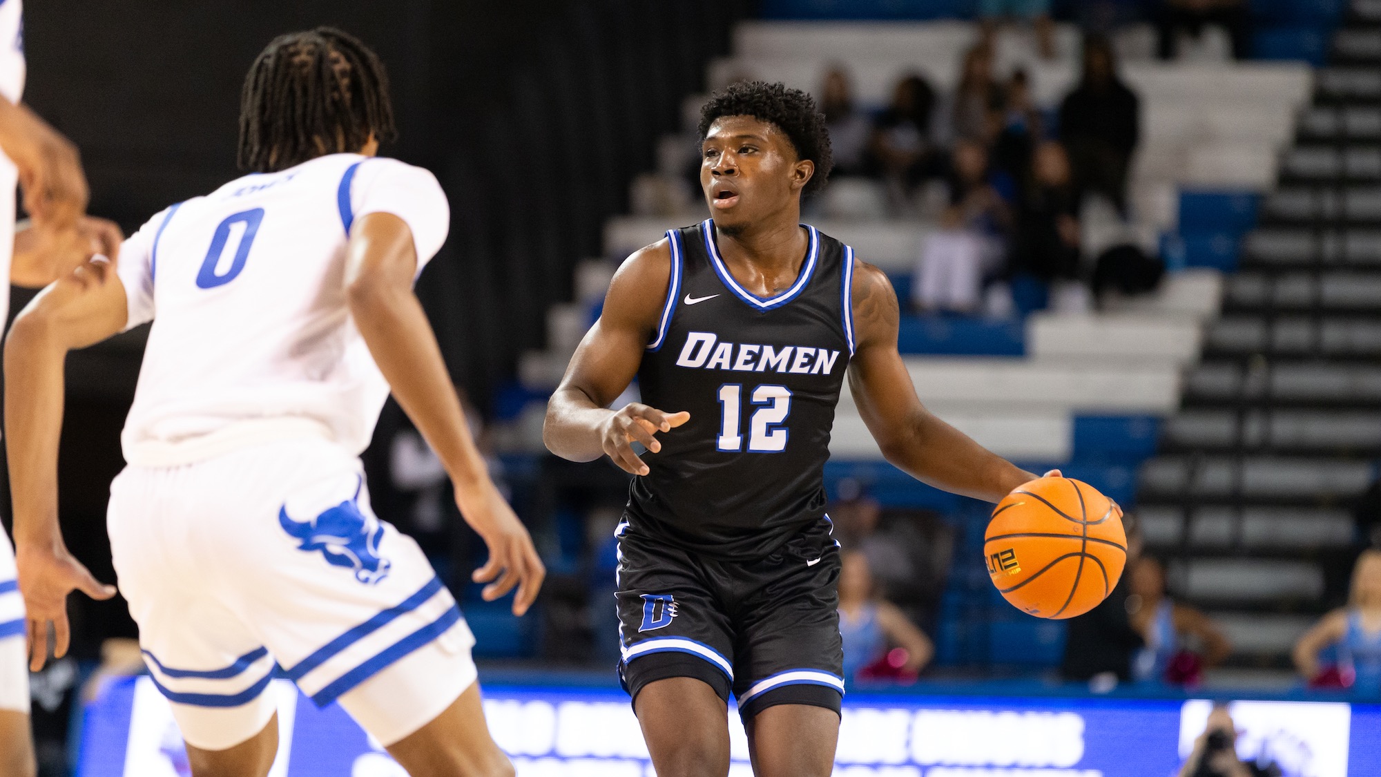 Dylan Fasoyiro - Men's Basketball - Daemen University Athletics