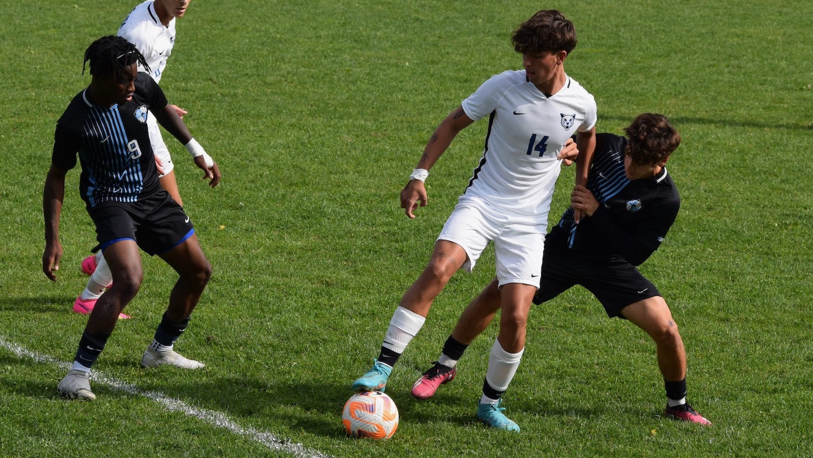 Bruno Lago Pujol - Men's Soccer - Daemen University Athletics
