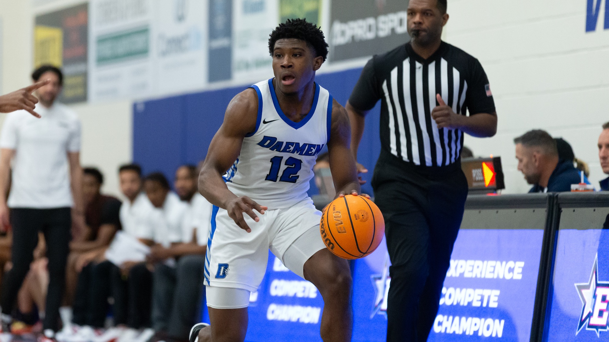 Dylan Fasoyiro - Men's Basketball - Daemen University Athletics