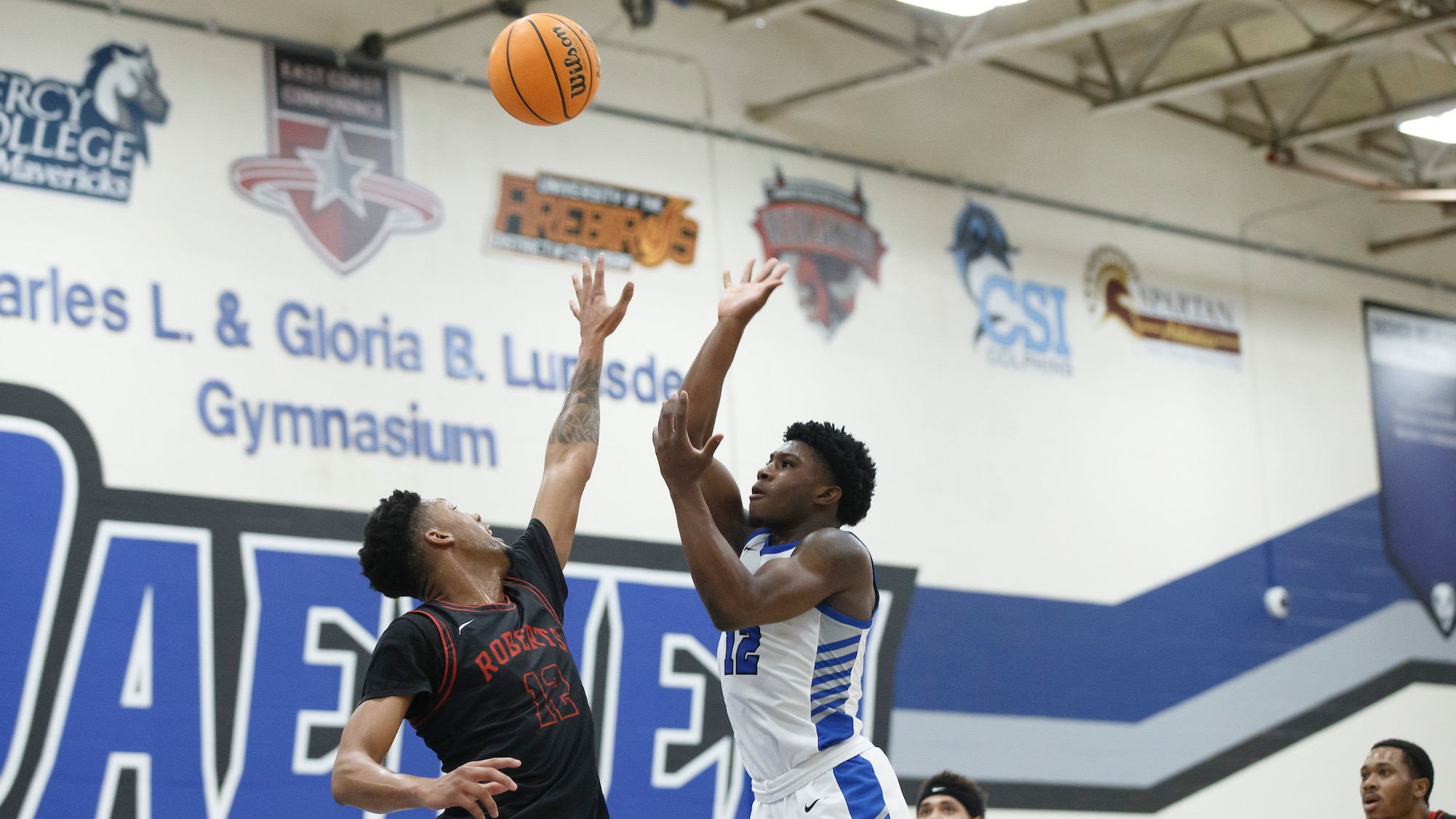 Dylan Fasoyiro - Men's Basketball - Daemen University Athletics