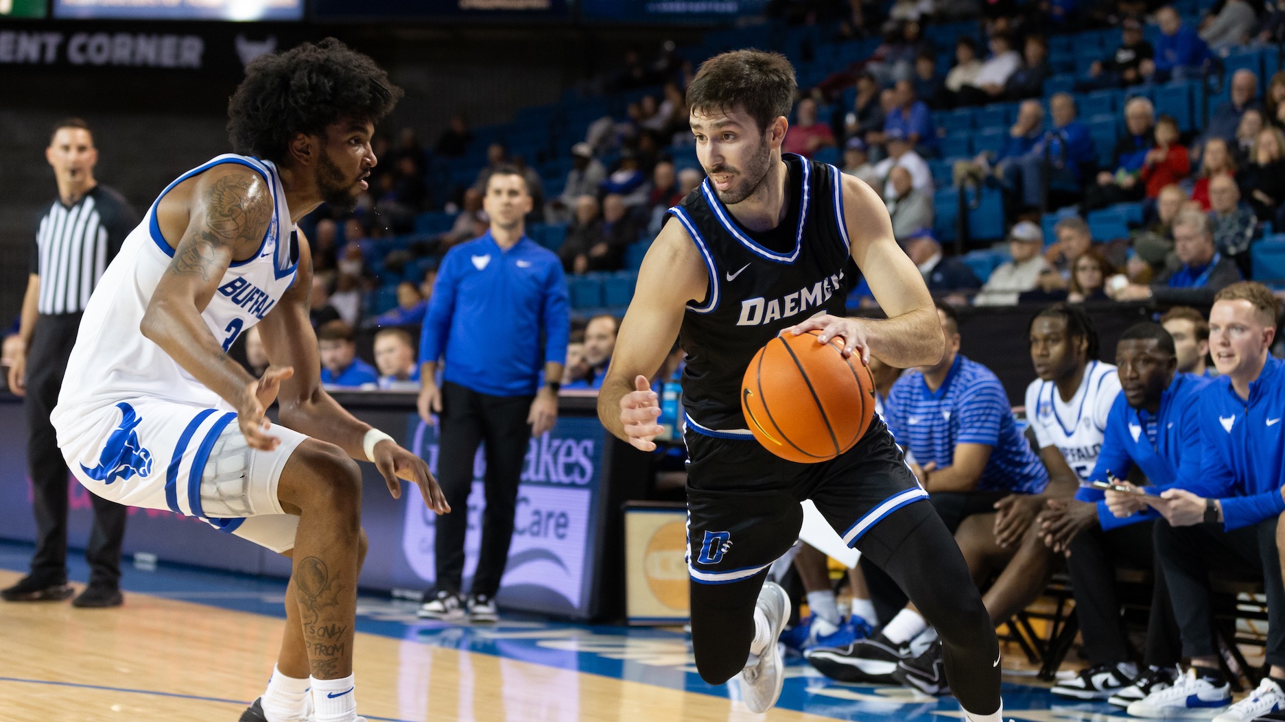Nick MacDonald - Men's Basketball - Daemen University Athletics