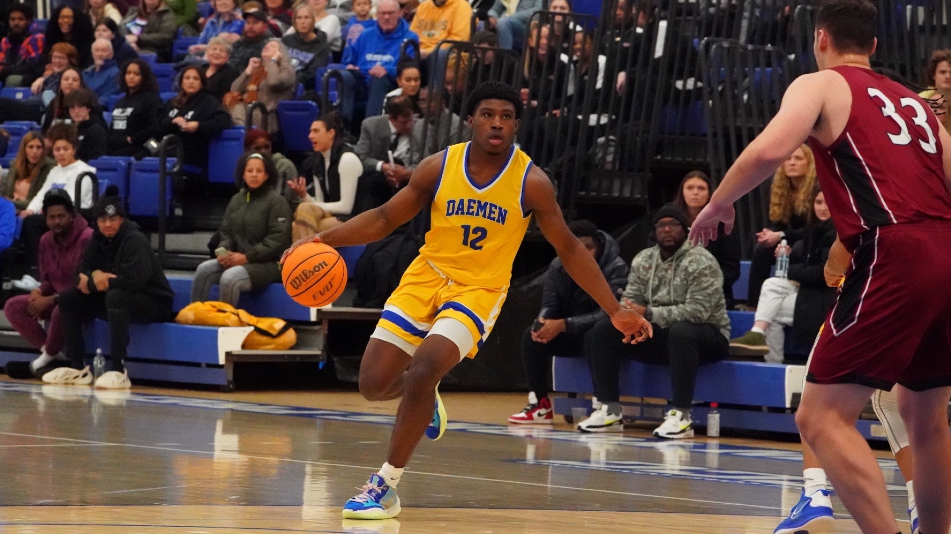 Dylan Fasoyiro - Men's Basketball - Daemen University Athletics