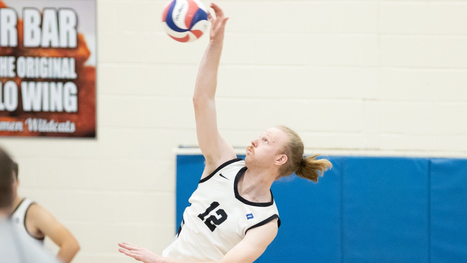 Henry Moffitt - Men's Volleyball - Daemen University Athletics