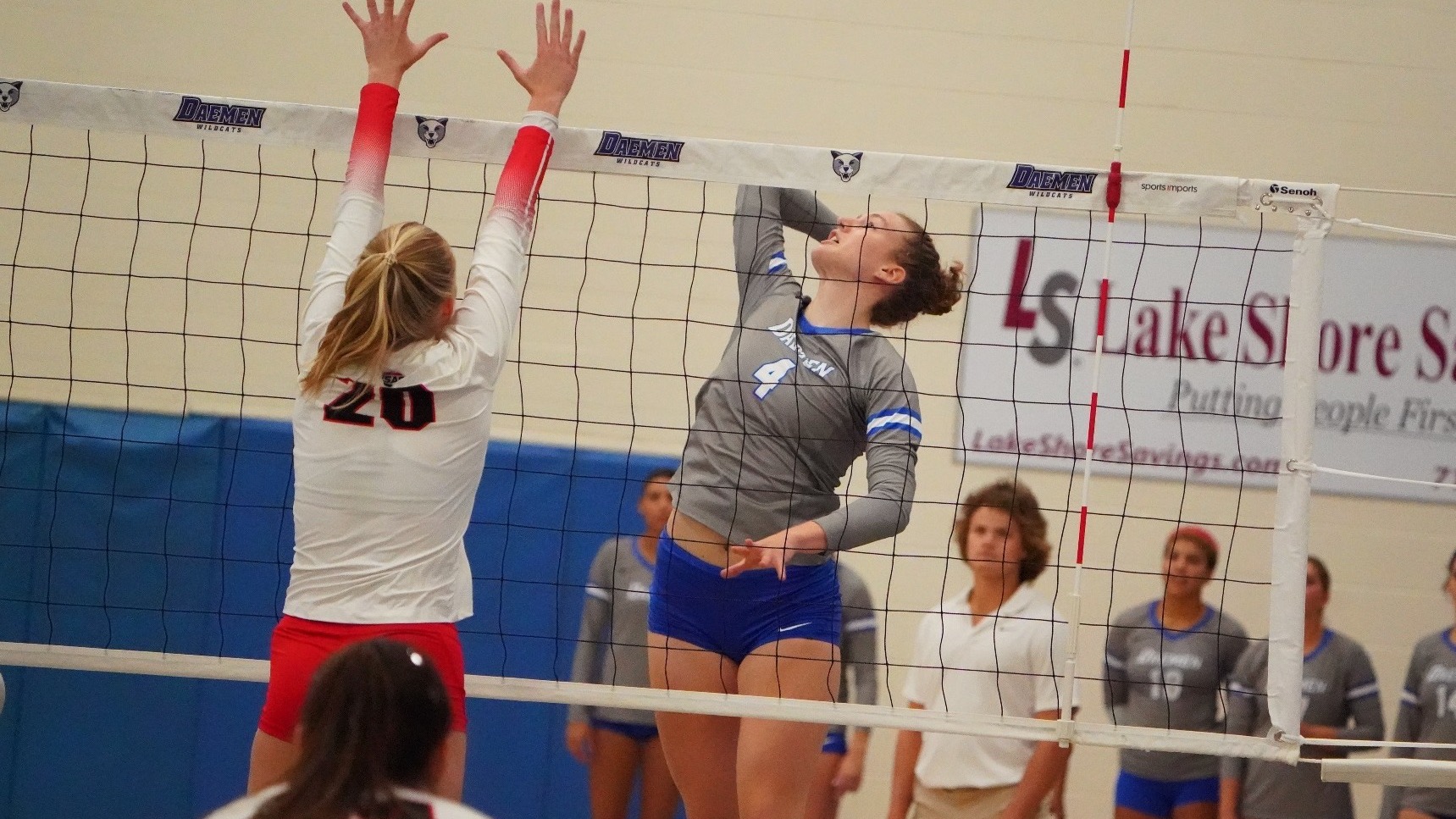 Women's Volleyball Splits Friday At Adelphi Tournament - Daemen ...