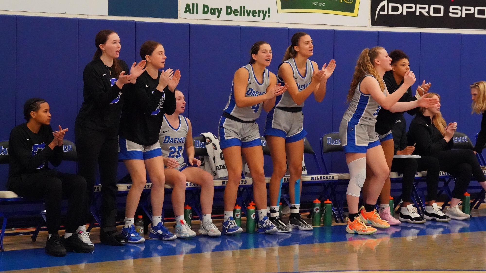 Marlene Bussler - Women's Basketball - Daemen University Athletics