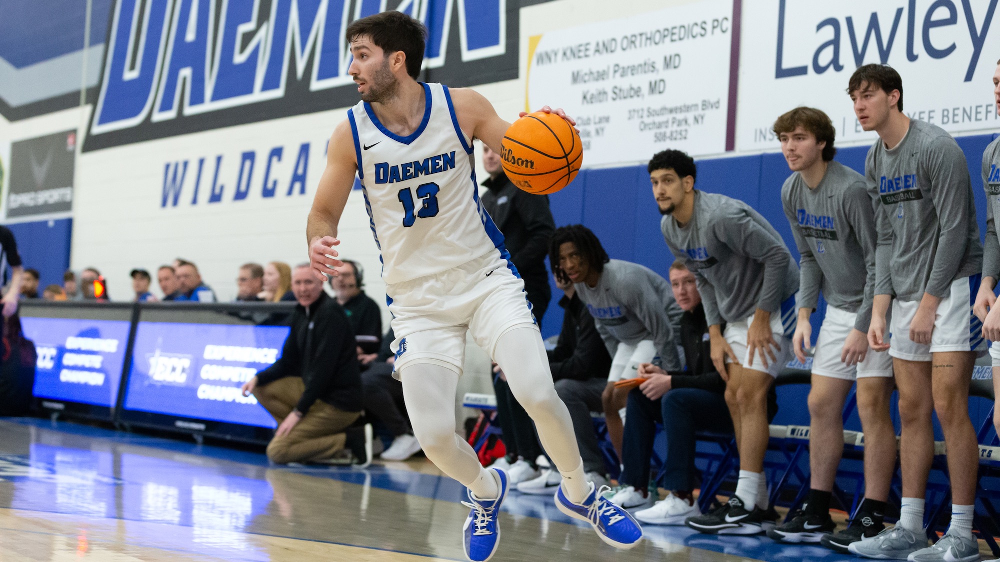 Nick MacDonald - Men's Basketball - Daemen University Athletics