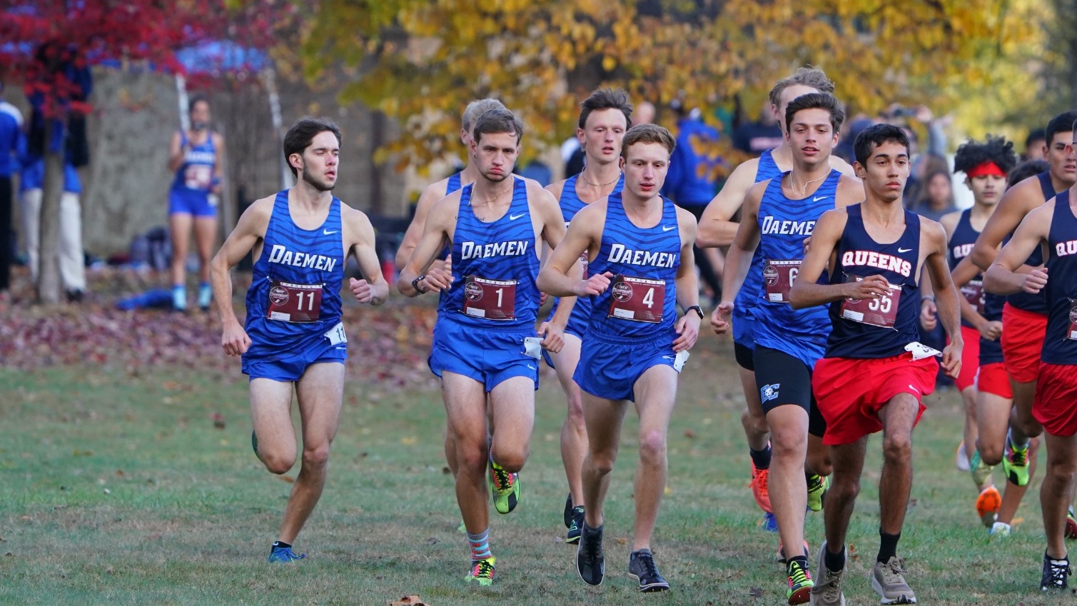 Wildcat Cross Country Heads To Regionals In Rochester - Daemen ...