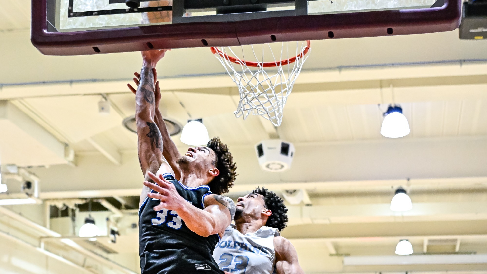 Joey Atkins - Men's Basketball - Daemen University Athletics